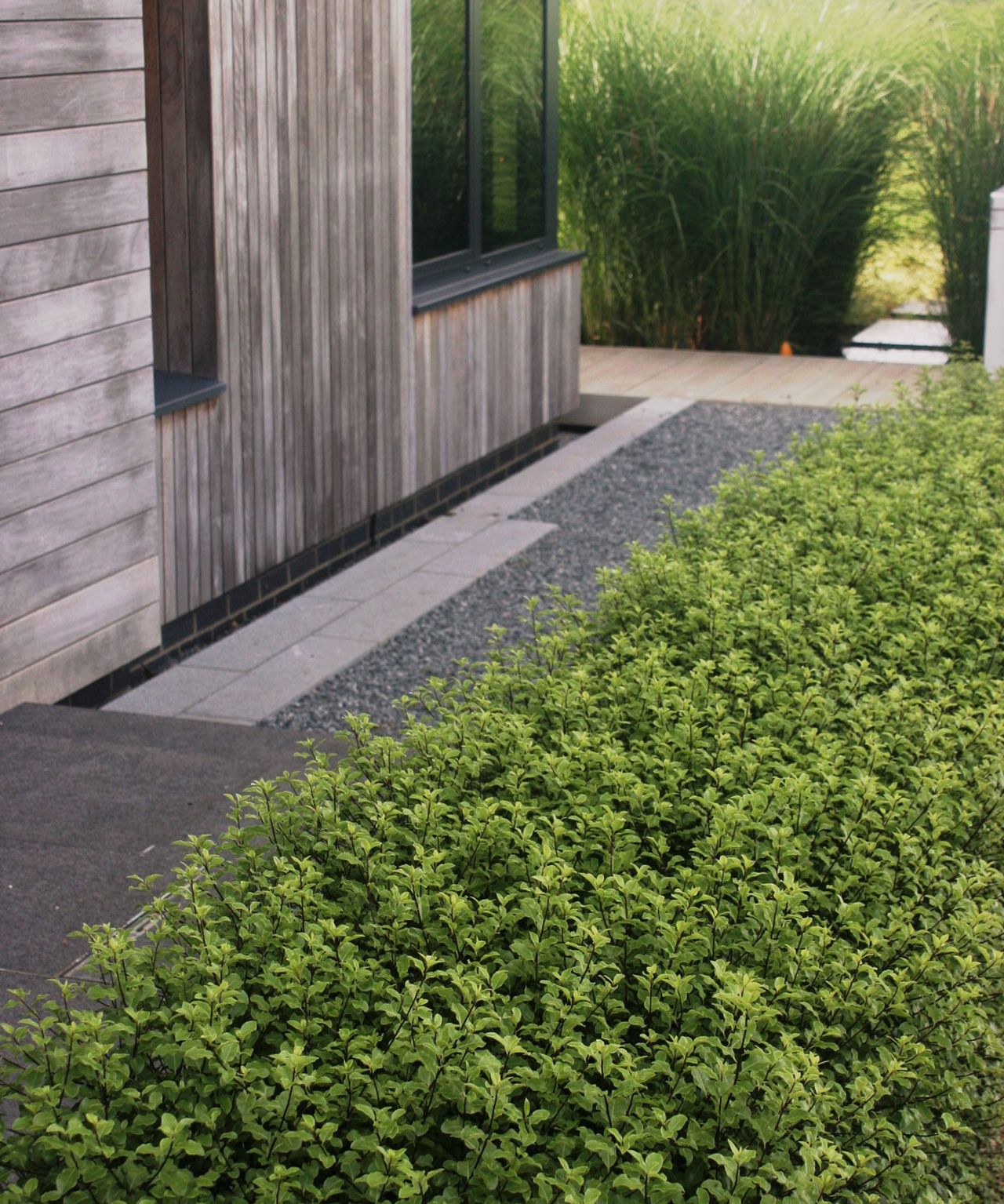 Landscaping with evergreens: 12 ways to make an impact | Gardeningetc