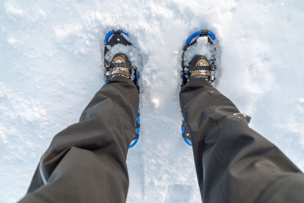 Snowshoeing for beginners: a first-timer's guide to hiking in the snow ...