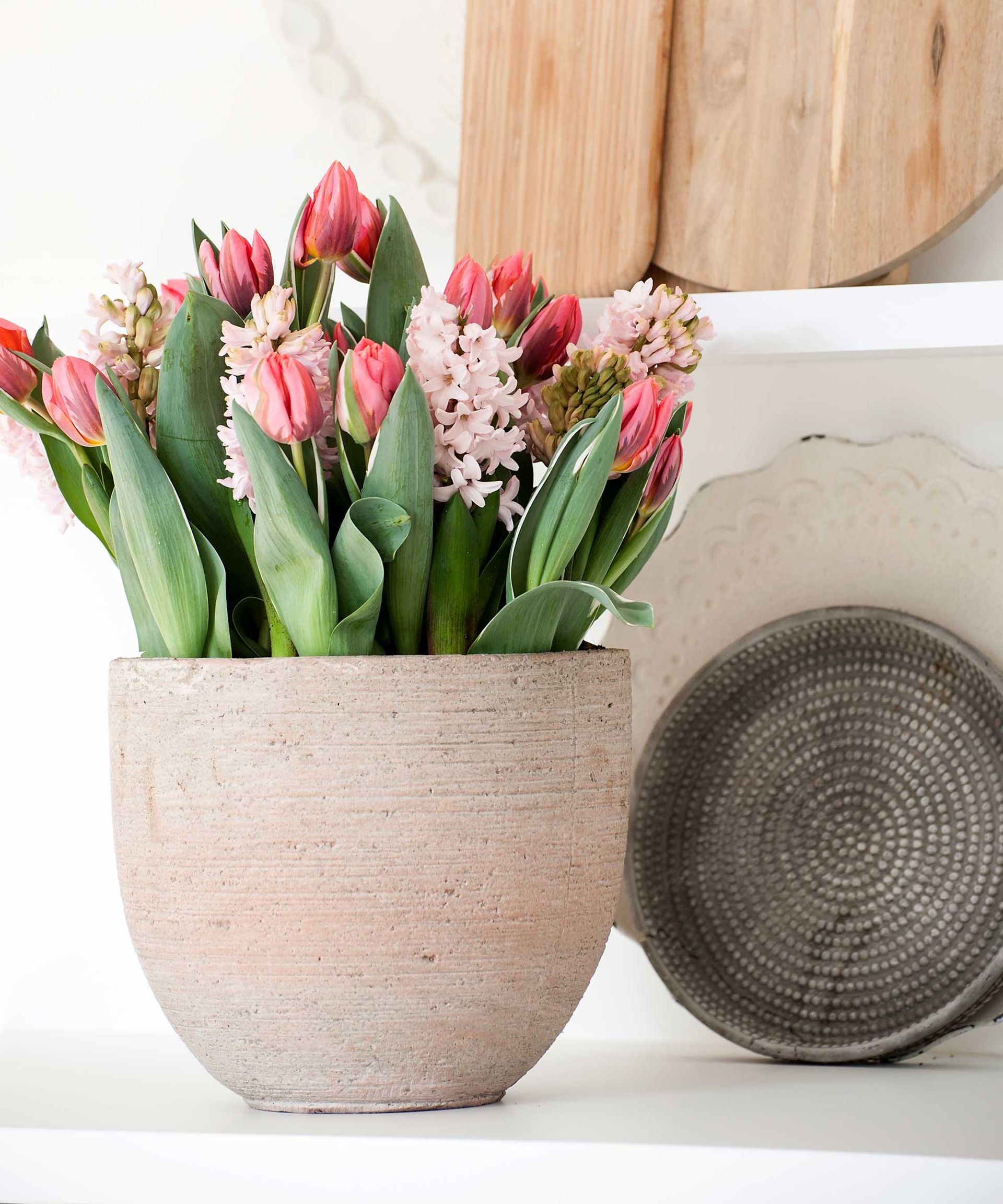 How to grow tulips indoors: a step-by-step guide | Homes and Gardens