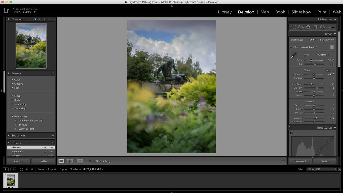 Use Lightroom's Range Masking for perfect exposure and colors | Digital ...