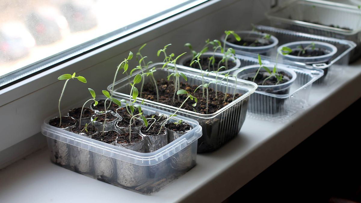 7 clever ways to reuse old plastic containers | Tom's Guide