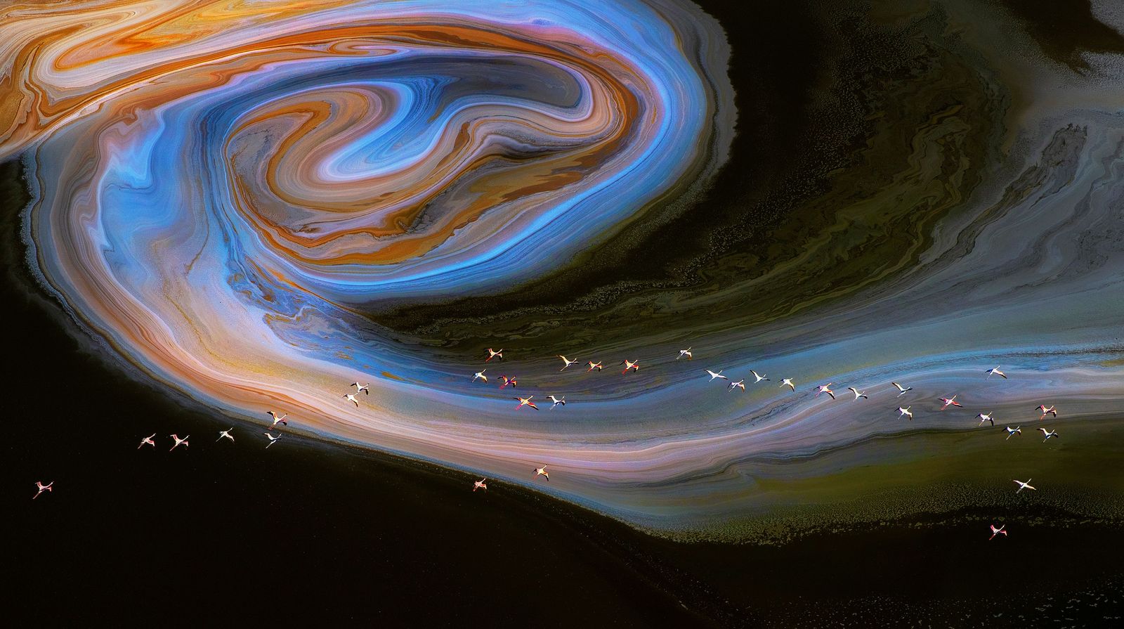 The year's best photojournalism | The Week