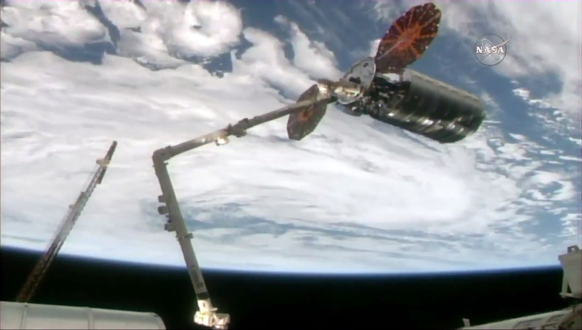 Cygnus Spacecraft Delivers Holiday Goodies and Science Experiments to ...