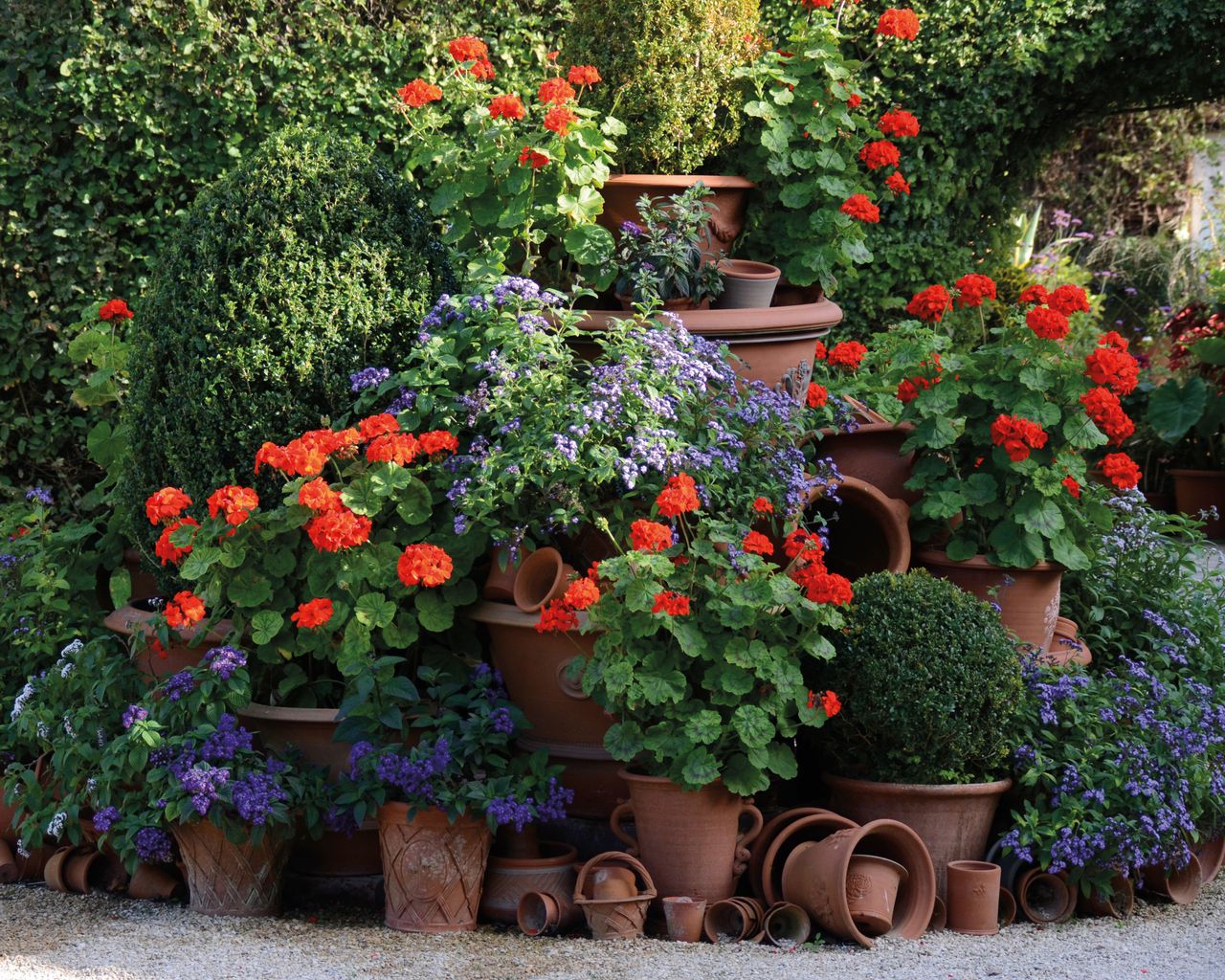 Container gardening ideas: 12 display and planting tips | Homes and Gardens