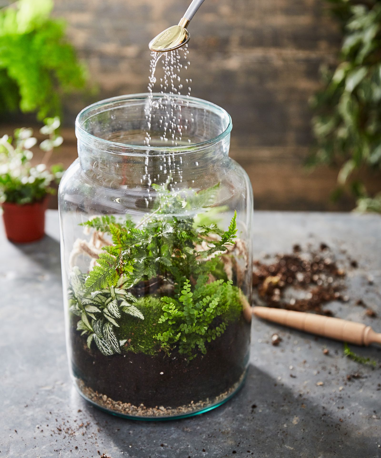 How to make a terrarium in 5 simple steps | Homes and Gardens