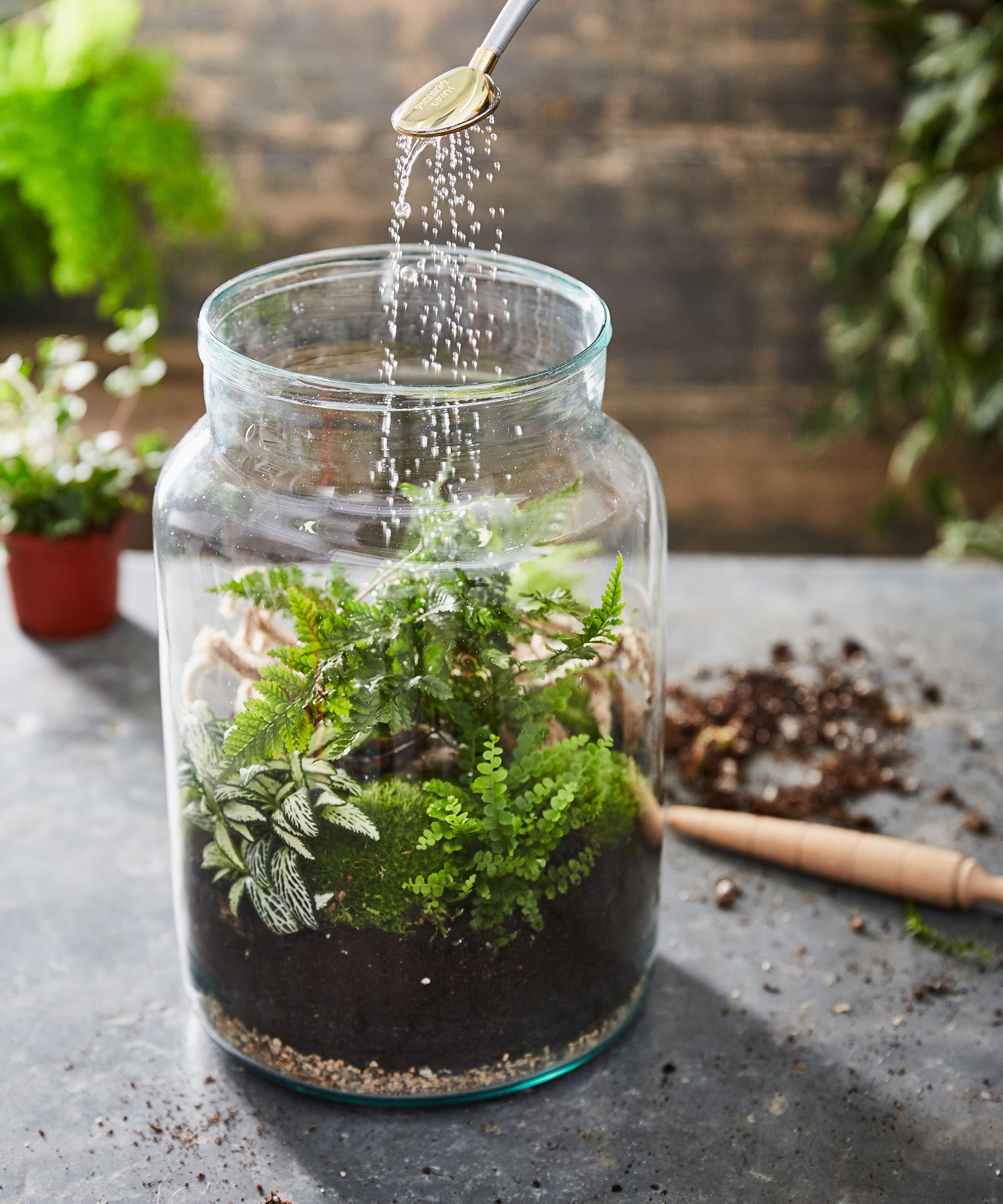 How to make a terrarium in 5 simple steps | Homes and Gardens