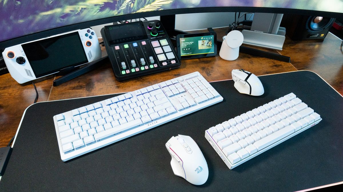 I swapped my $500 wireless Razer gaming setup for a $100 one from ...