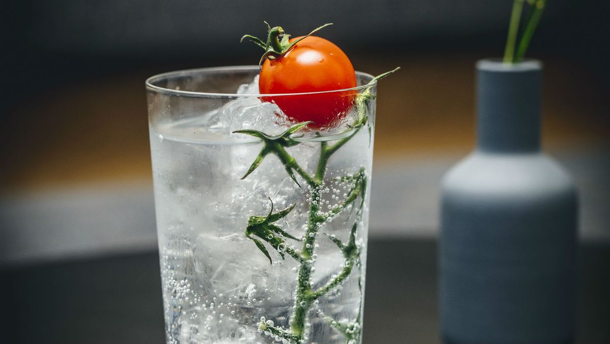 Sustainable cocktails: waste not, want lots | The Week