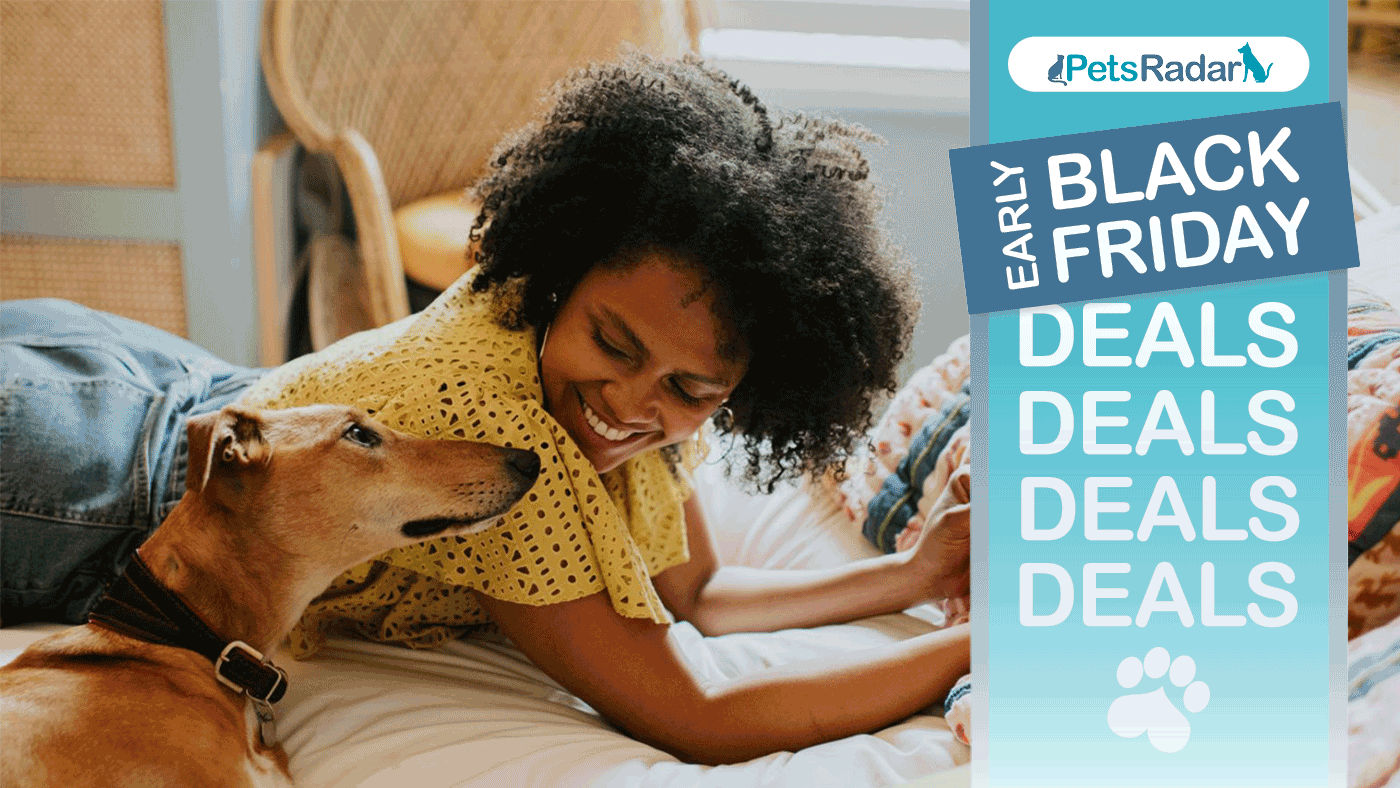 Our top picks of Black Friday pet deals 2025 | PetsRadar