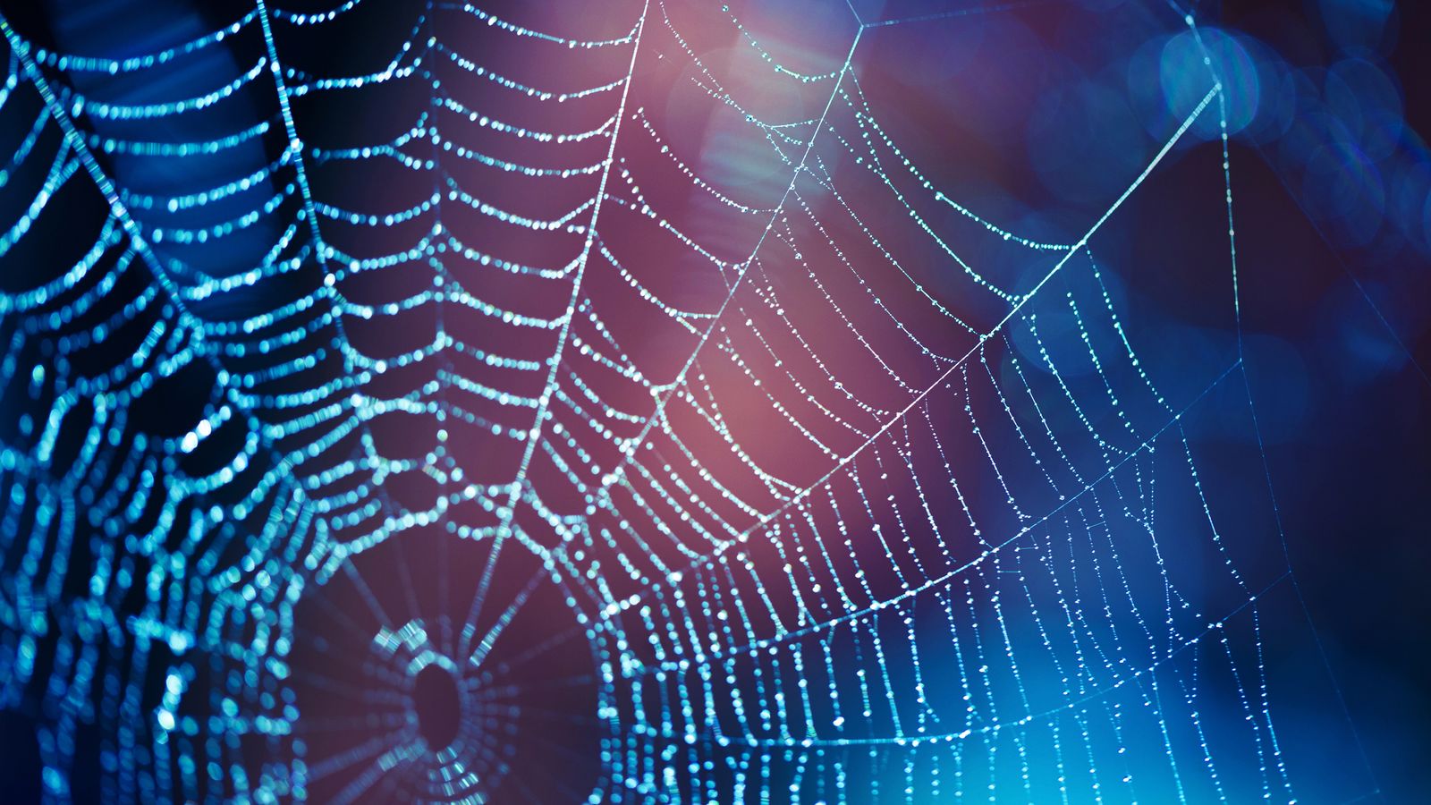 how do hackers get your passwords? | IT Pro