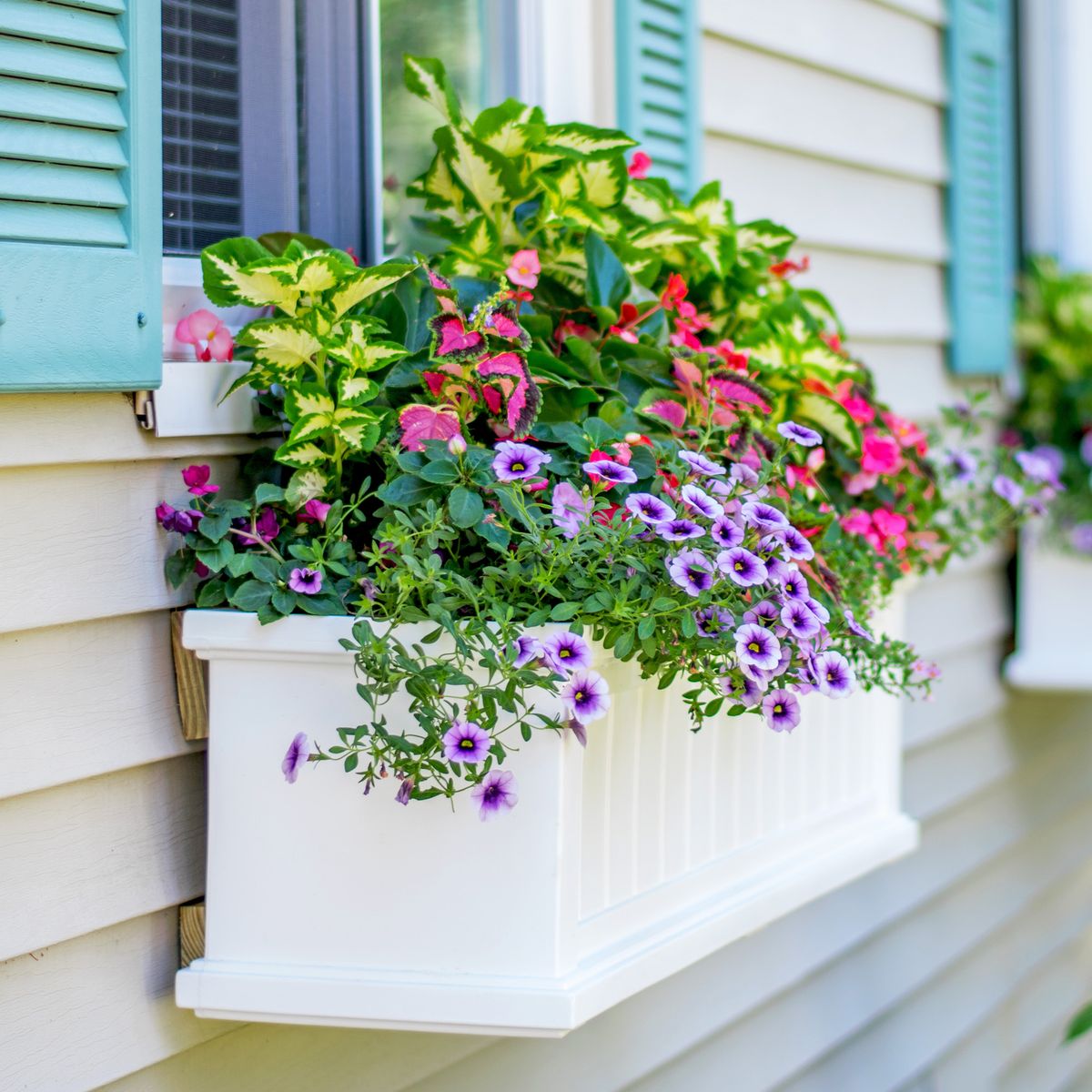 10 Beautiful Window Box Ideas For Flowers And Edibles | Gardening Know How