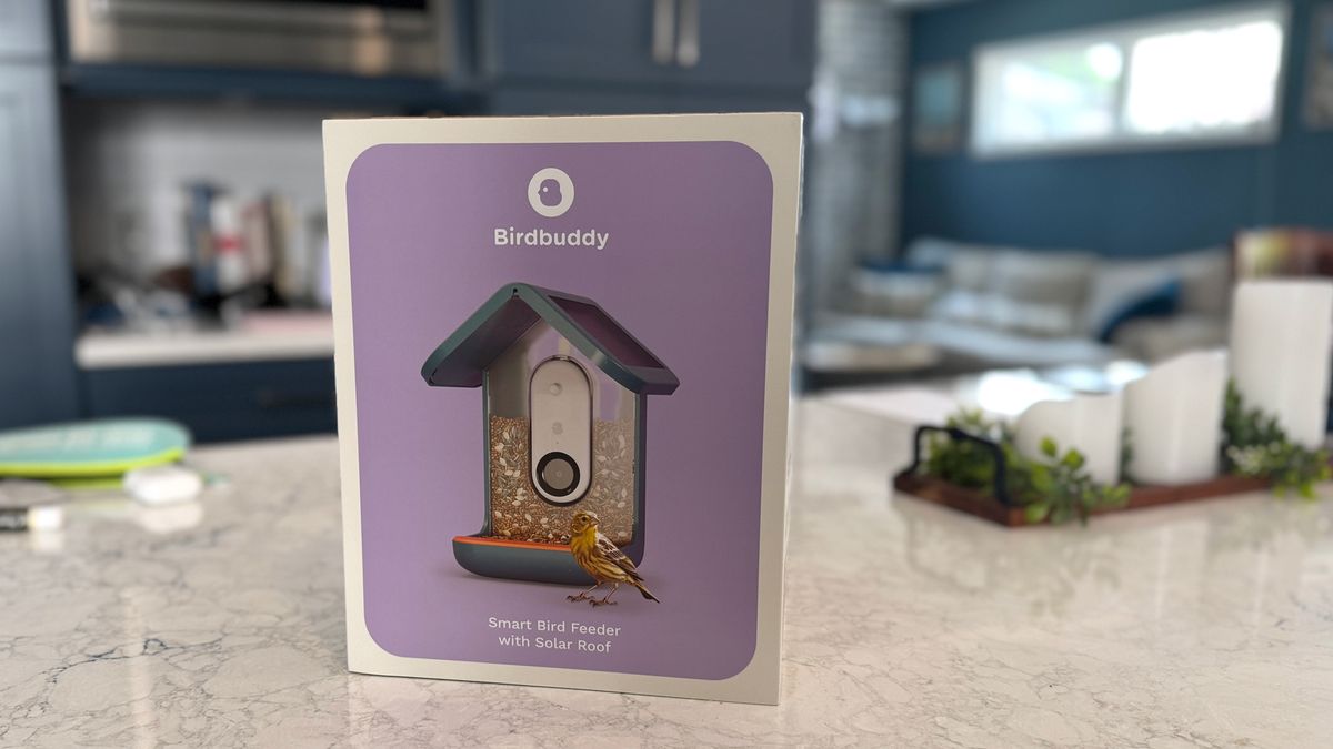 I’m obsessed with bird-watching and the Bird Buddy smart bird feeder is ...