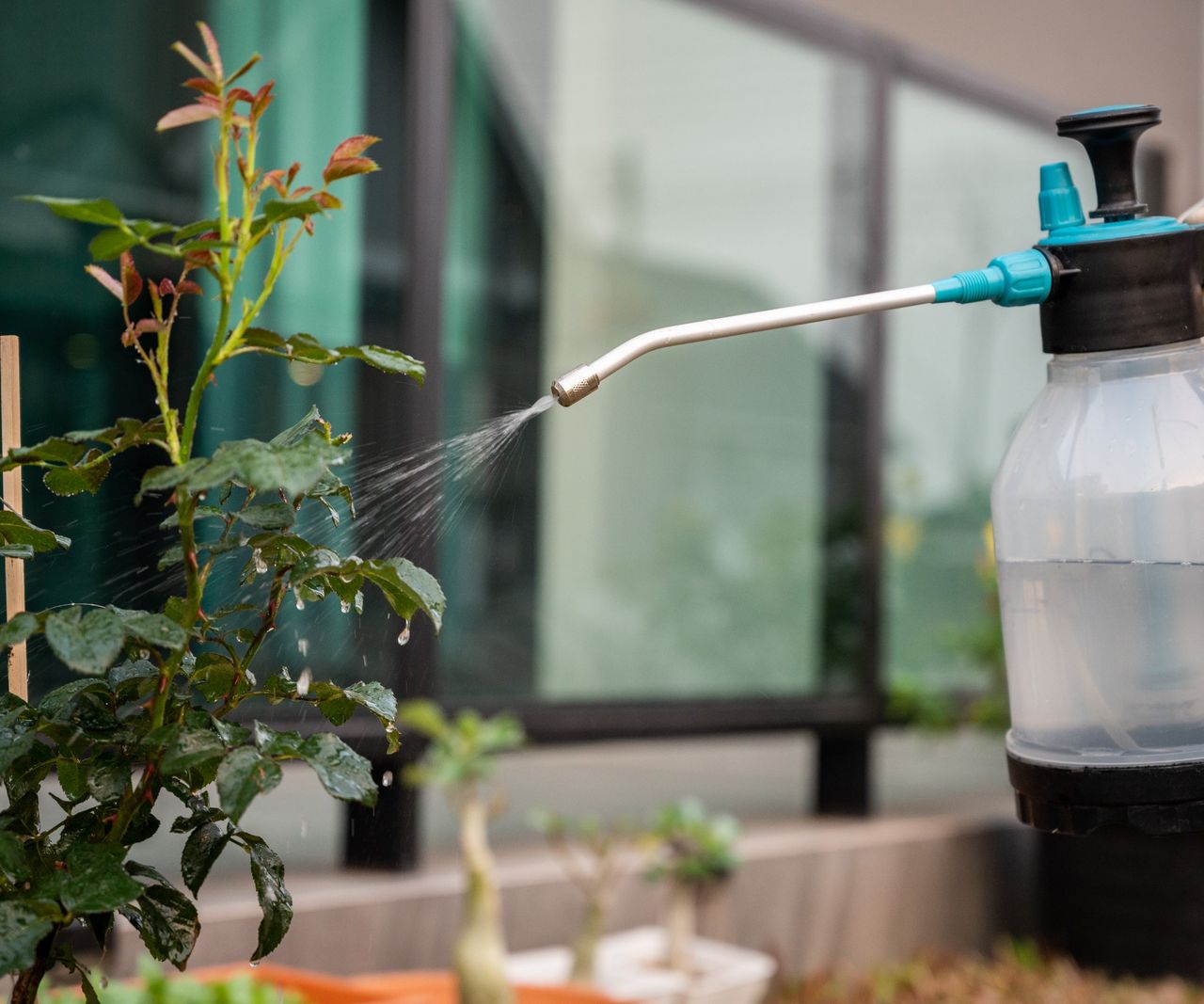 How to overwinter a garden: 5 steps | Homes and Gardens