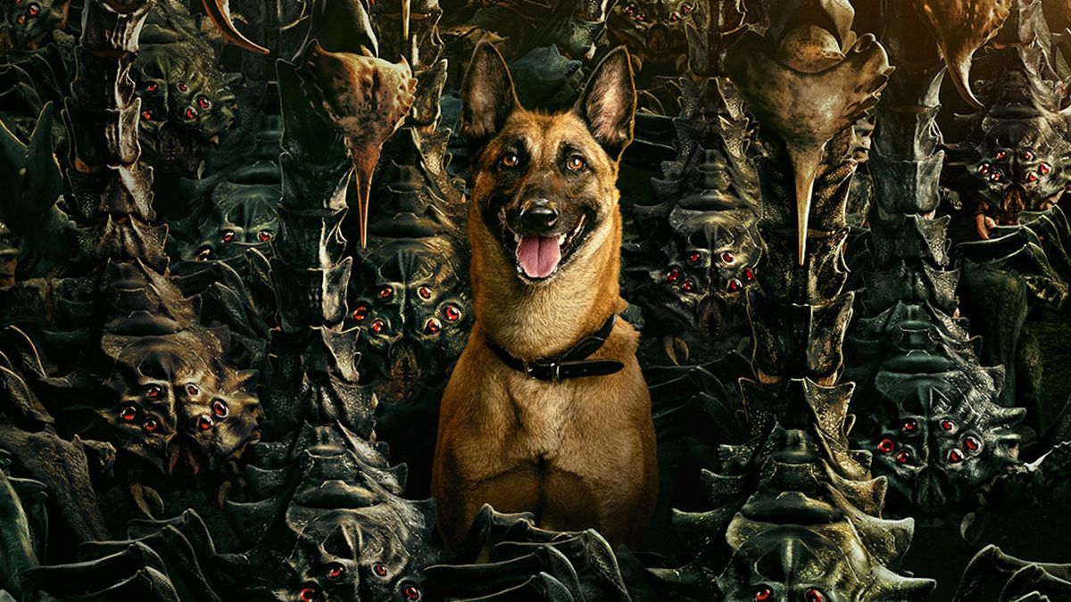 Everything we know about Fallout season 2: Key details summarized by ...