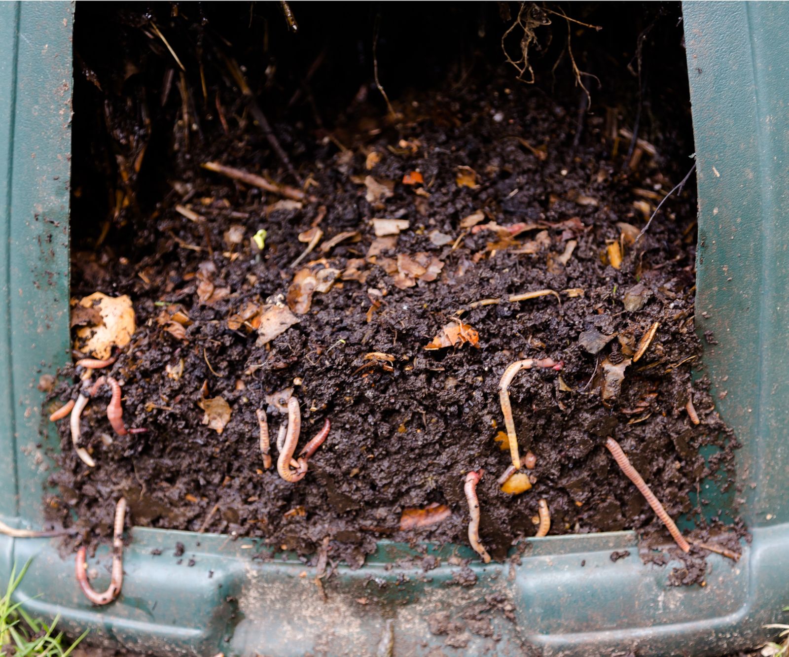 18 composting tips I learned from Charles Dowding | Homes and Gardens