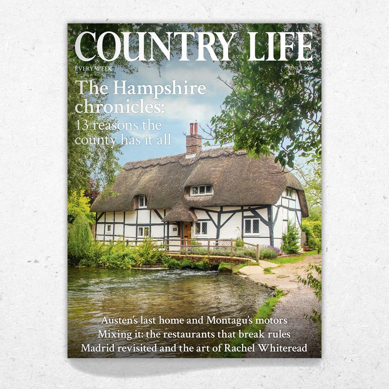Articles by Country Life | Country Life