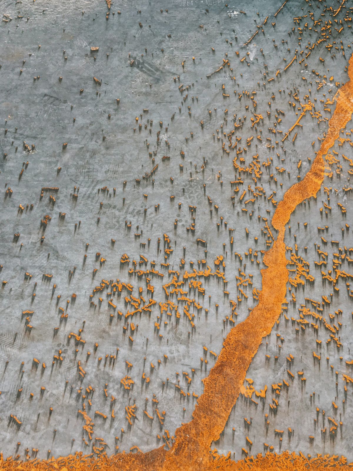 Winning images from the 2020 iPhone Photography Awards | Digital Camera ...