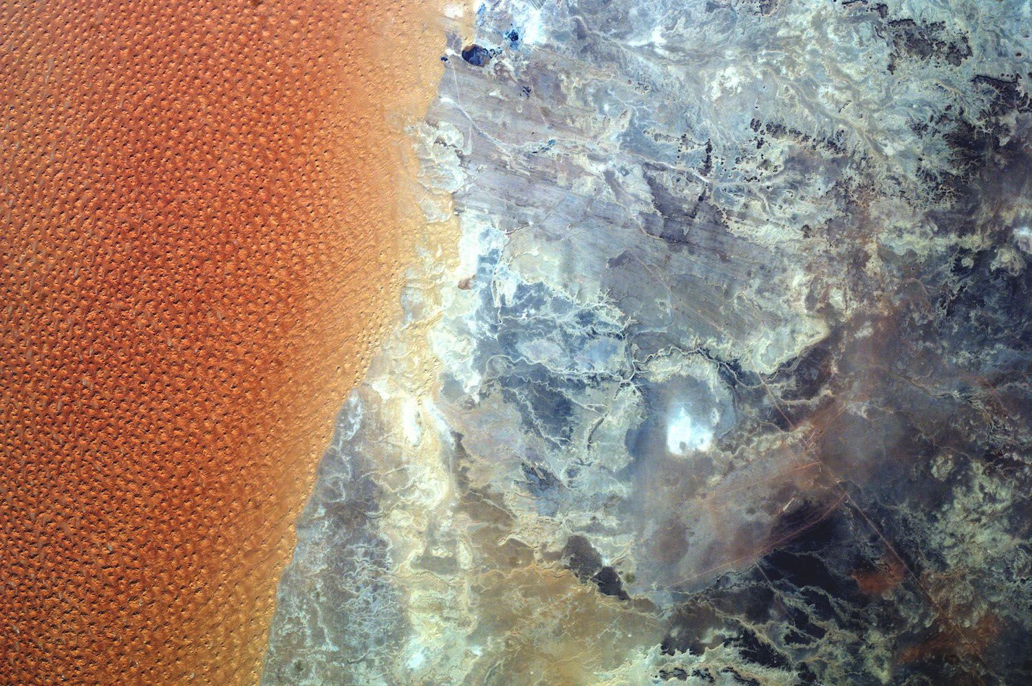 Moldy Bread? Nope, It's a Photo of the Sahara Desert Taken from Space ...