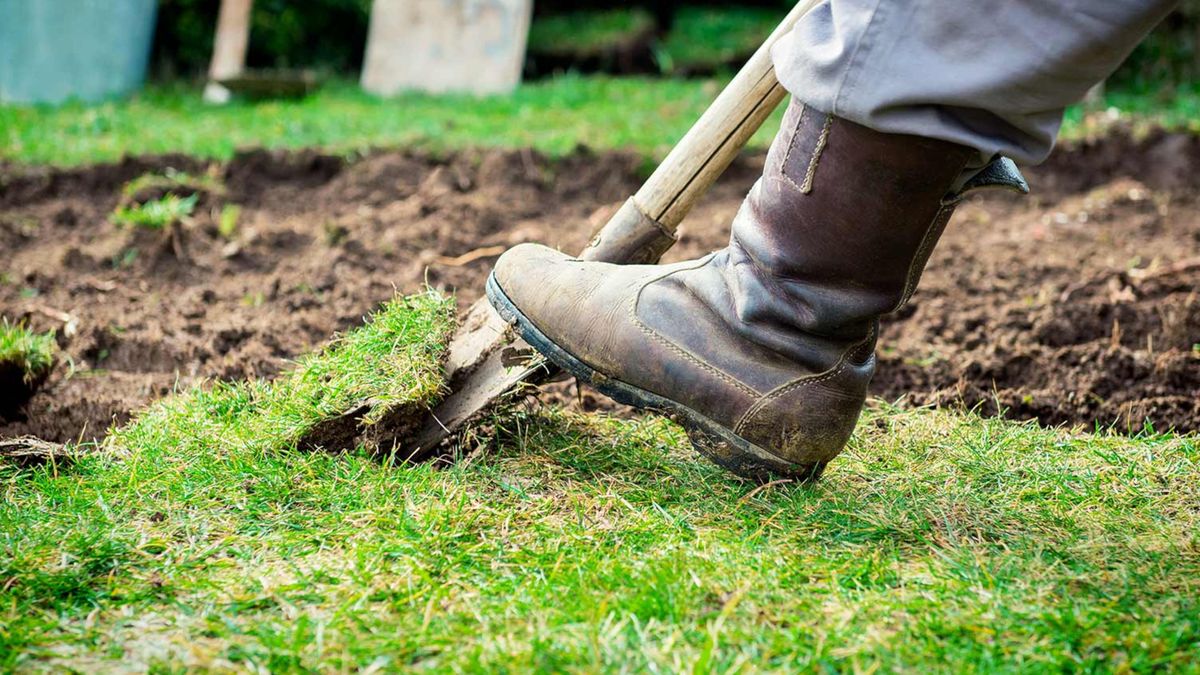 8 fall lawn care tips for the changing seasons | Top Ten Reviews