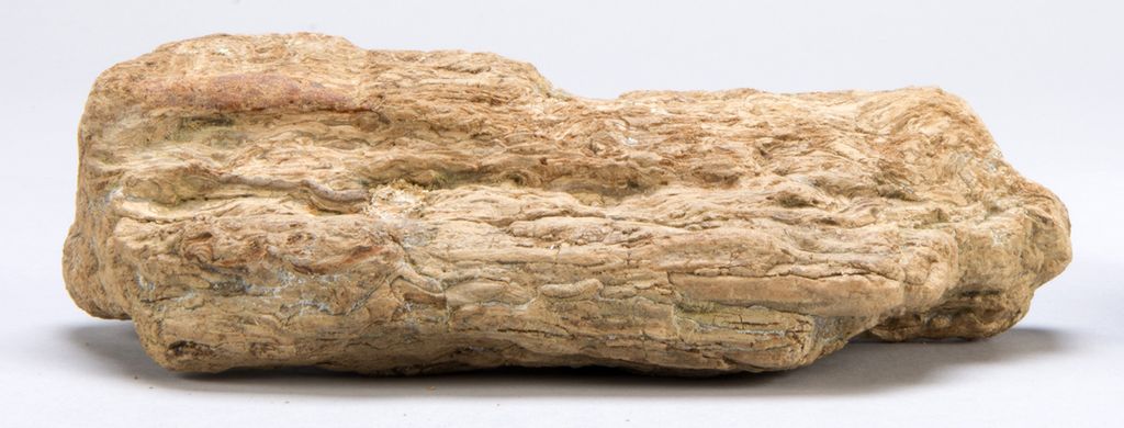 Images: Amazing Artifacts from a Java Sea Shipwreck | Live Science