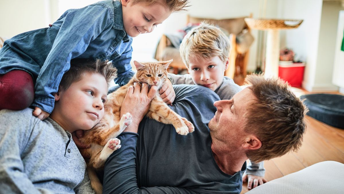 Daily thoughts of a cat owner: what runs through our head | PetsRadar