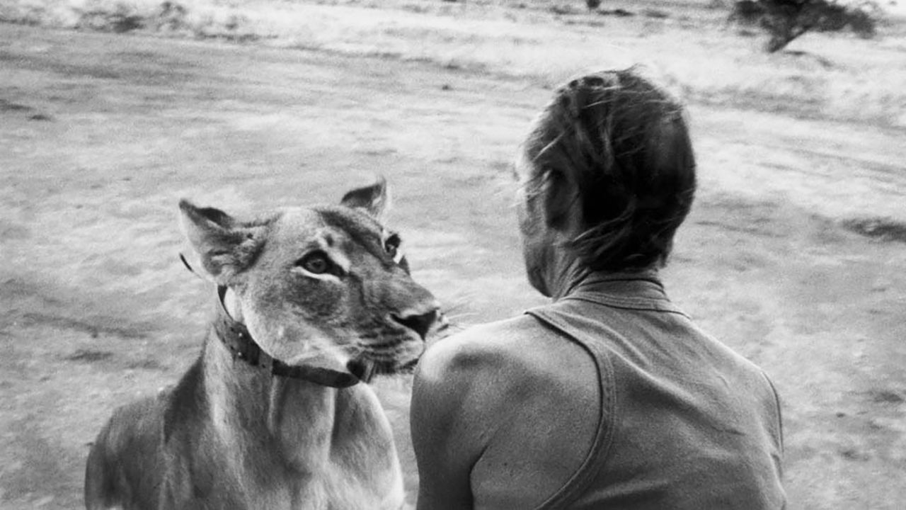 Artists Olly and Suzi on their latest expedition | The Week