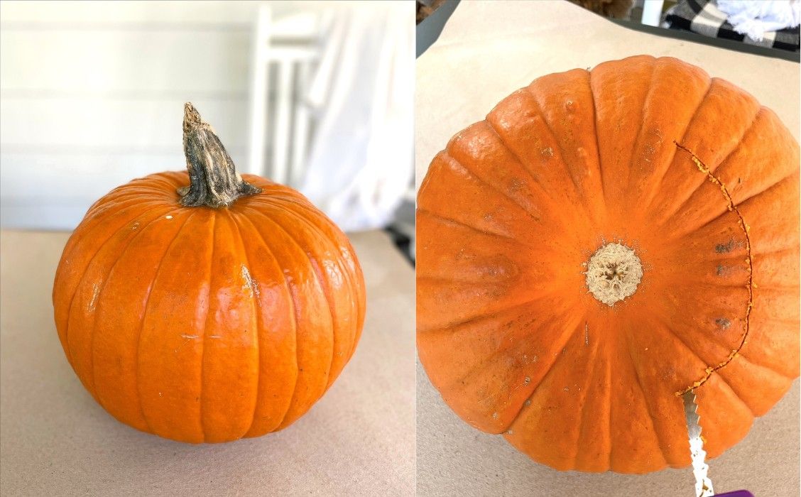 How to carve a pumpkin: 7 expert easy steps | Homes and Gardens