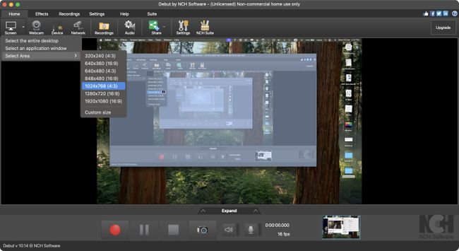 Best free screen recorder of 2025: Top free picks to capture your ...