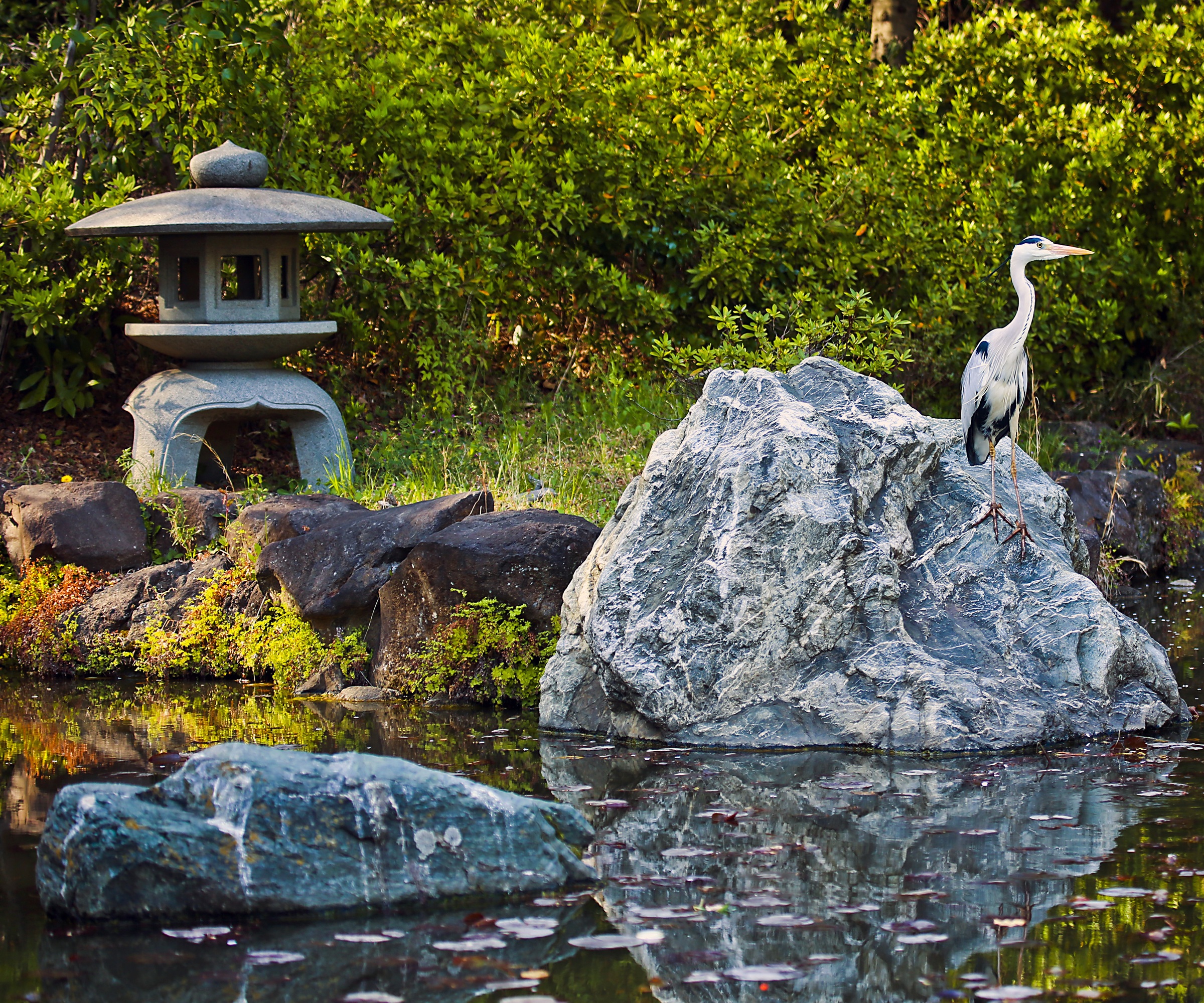 This Japanese Garden Tradition Can Transform Outdoor…