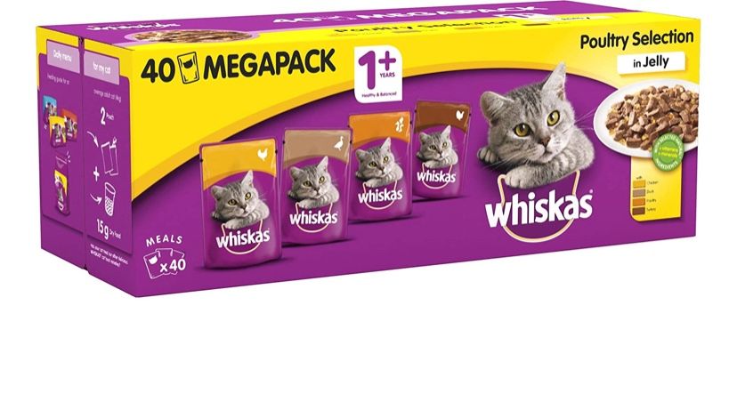Best cat food: Find fabulous formulas for your feline | PetsRadar