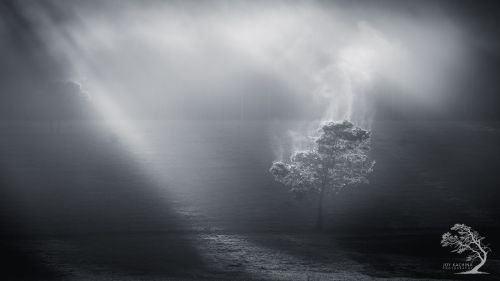 "Often, the unexpected turns out better than what I had in mind ...