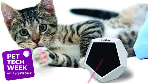 Pet Tech Week day five: Pet tech for fun | PetsRadar
