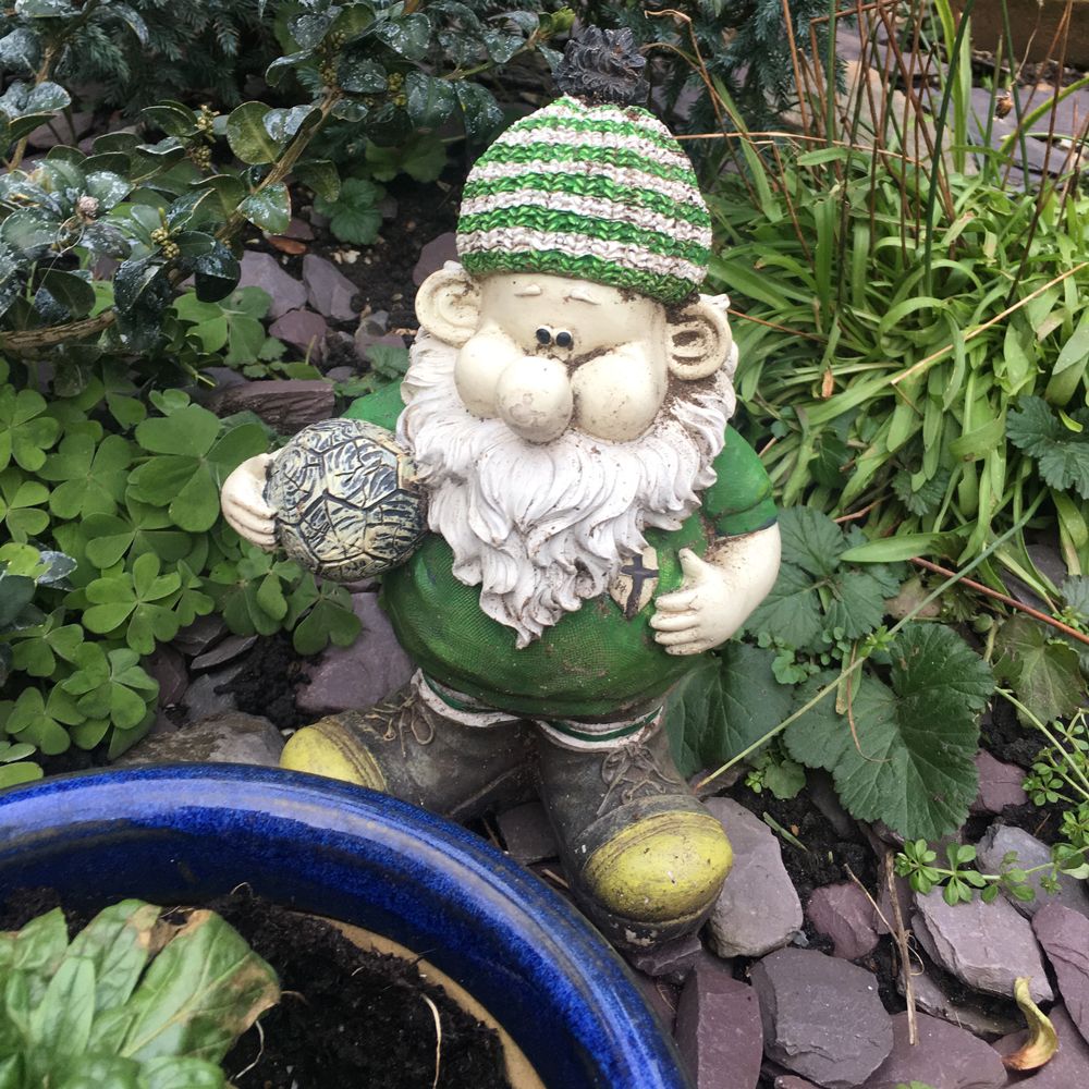 The worst garden trends of all time revealed – how many are you guilty ...