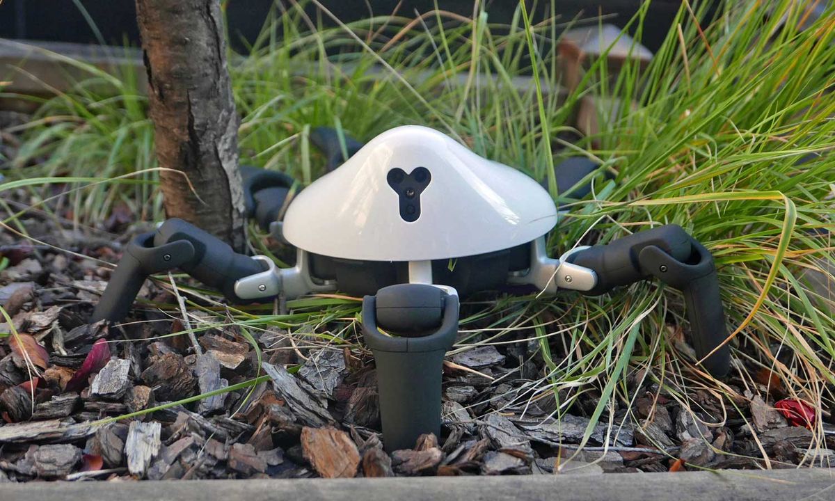 The $1,000 Hexa Insect Robot Creeped My Whole Office Out | Tom's Guide