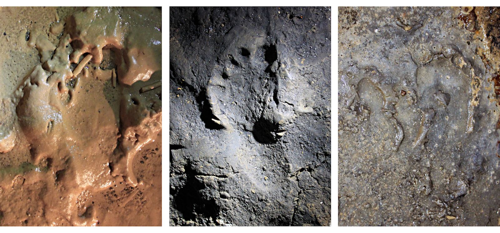 Humans Crawled Through a Cave 14,000 Years Ago. We Can Still See Their ...