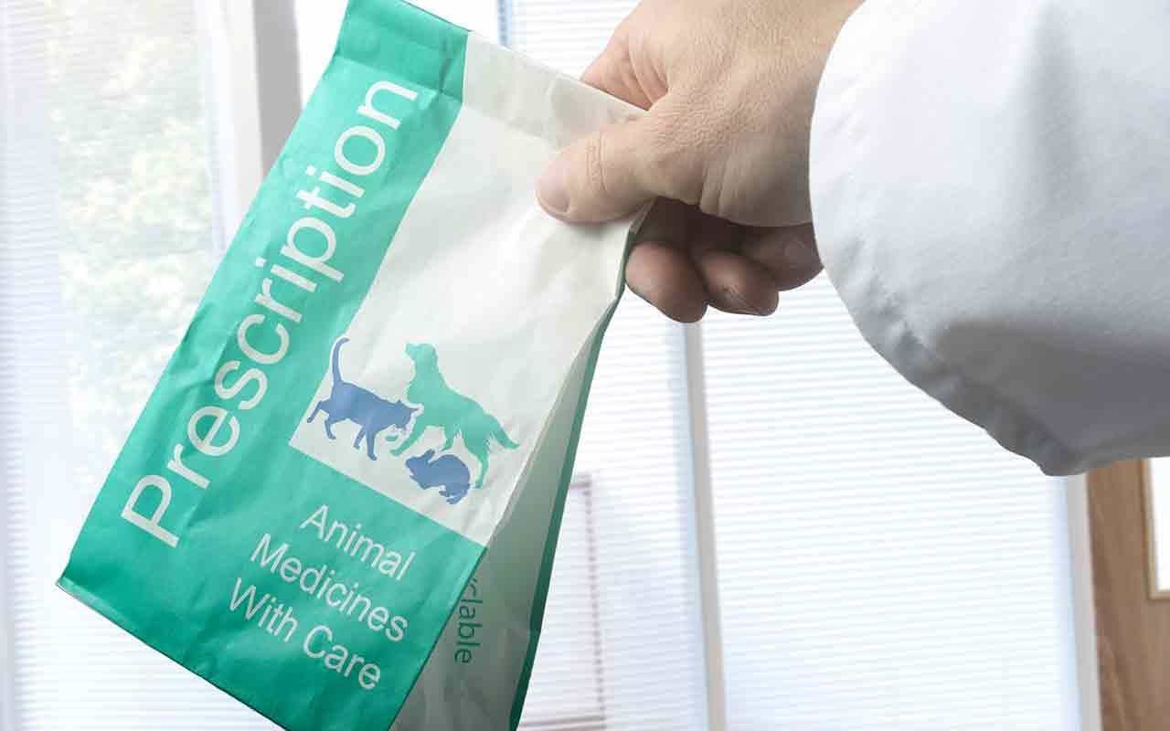 Pet Stocks: The 9 Best 'Purebred' Pet Stocks to Buy | Kiplinger