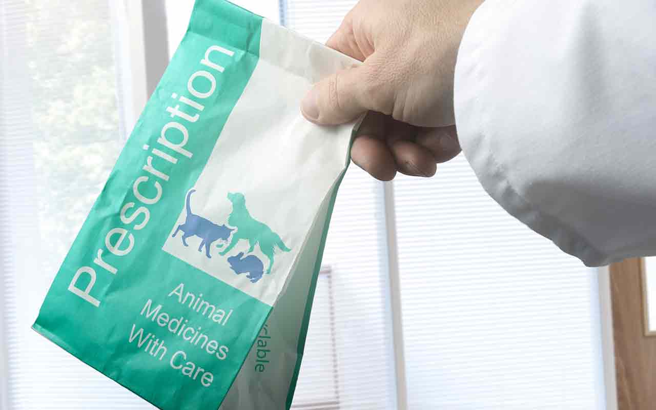 Pet Stocks: The 9 Best 'Purebred' Pet Stocks to Buy | Kiplinger