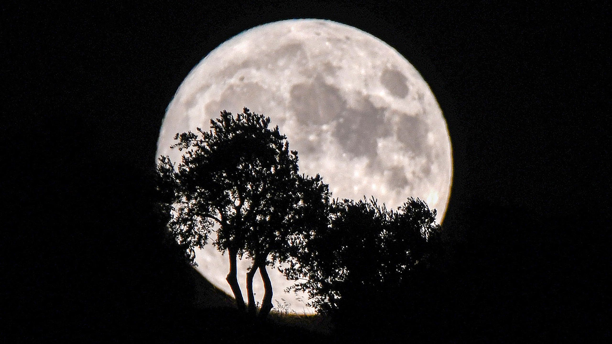The Full Moon November 2023: The moon in Gemini is set to push us out ...