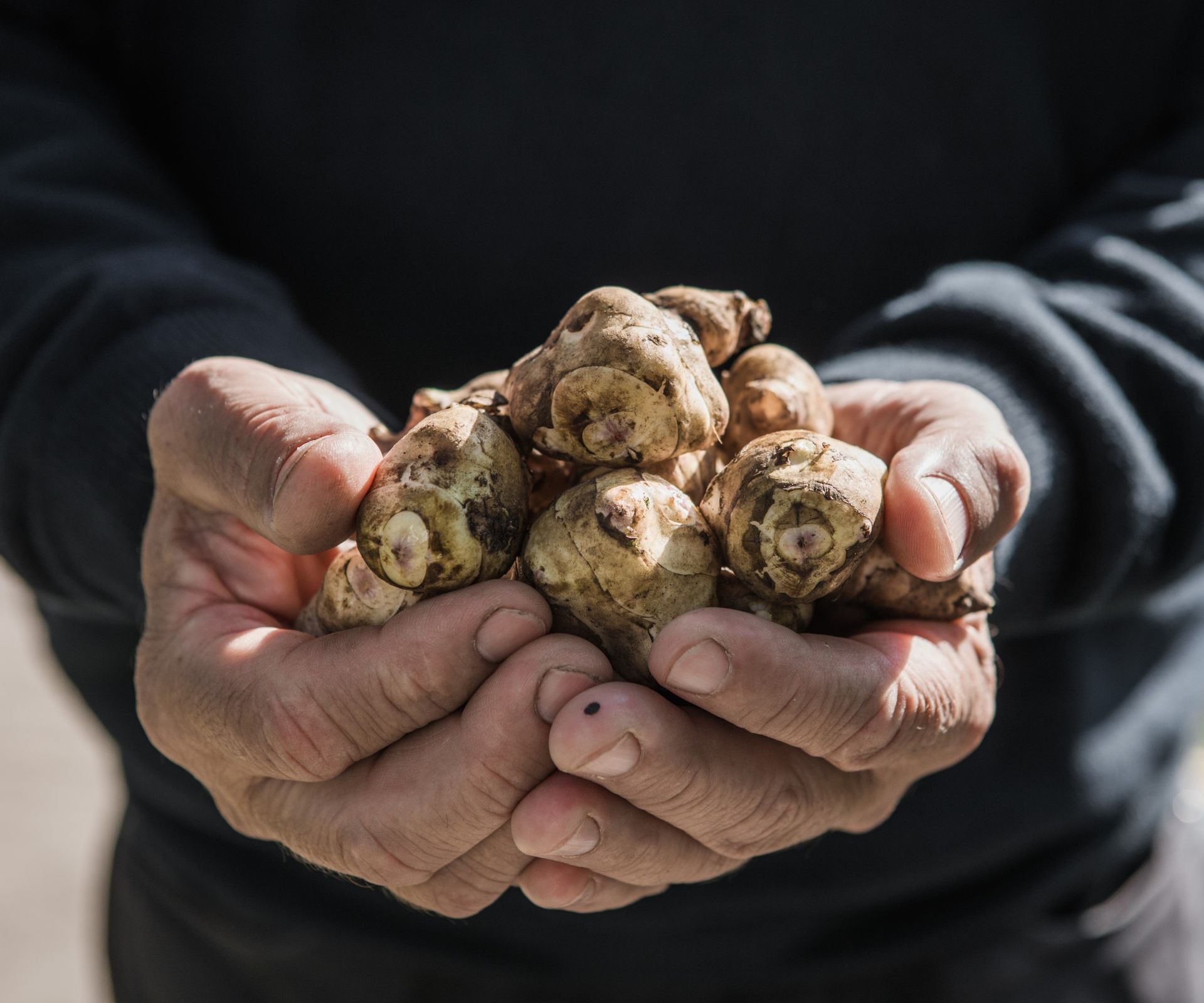 Best drought-tolerant vegetables: crops for dry conditions | Homes and ...