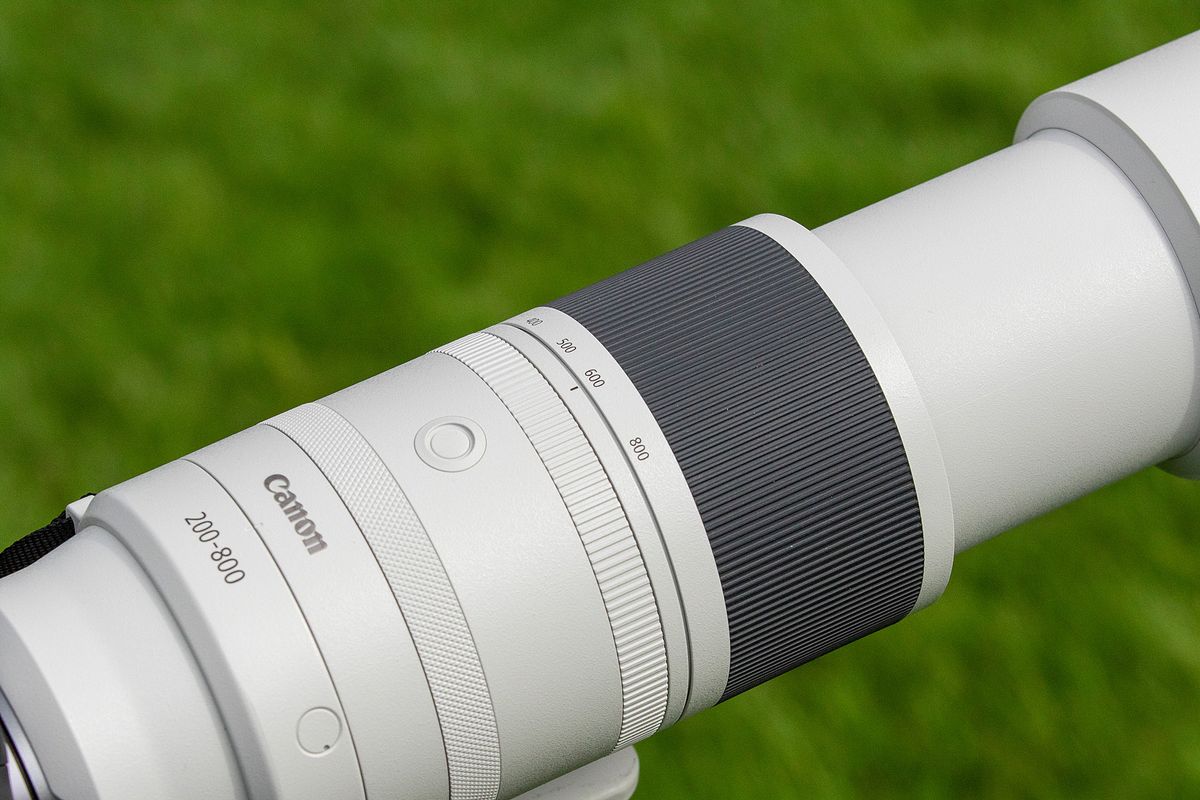 Get better bird photos with Canon's RF 200-800mm super telephoto lens ...