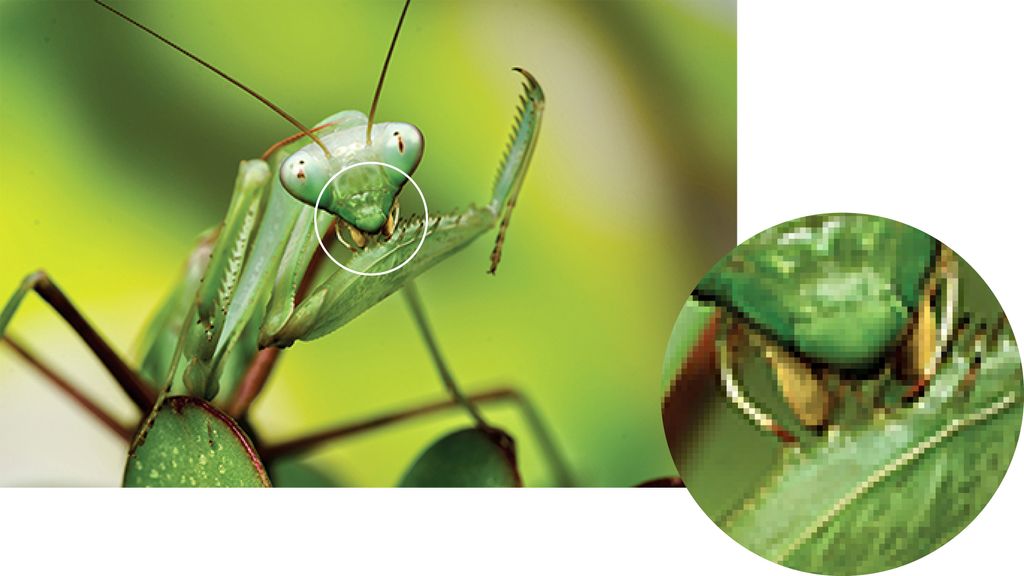 The ultimate guide to image resolution | Creative Bloq