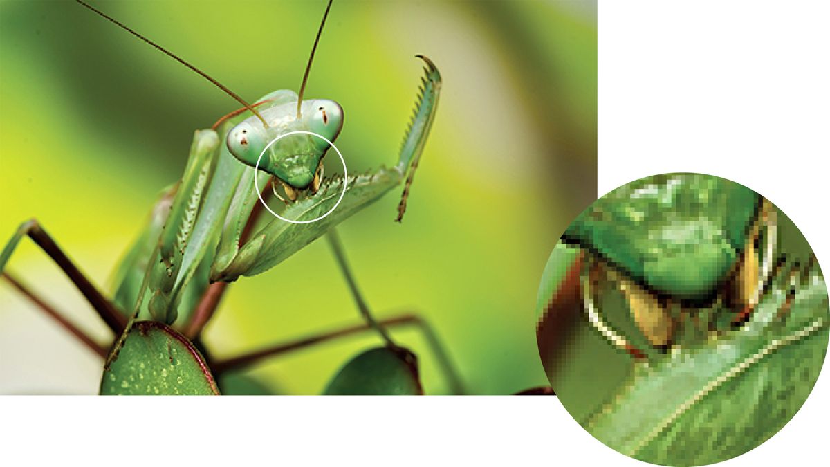 The ultimate guide to image resolution | Creative Bloq