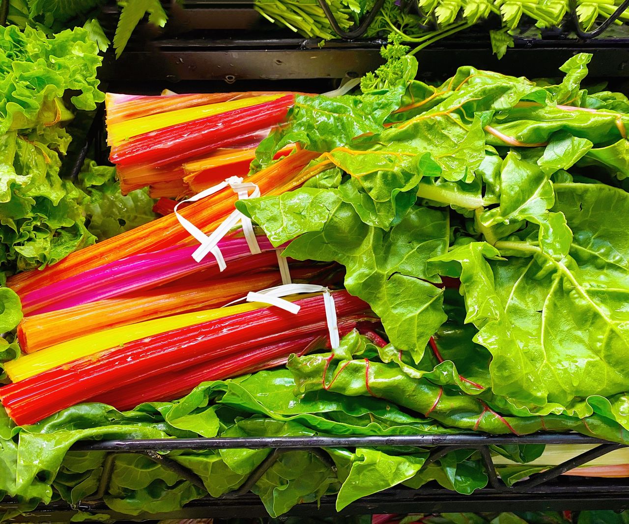 How to harvest Swiss chard: expert tips to keep it growing | Homes and ...