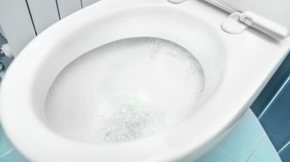How to prevent condensation from forming on your toilet cistern | Ideal ...