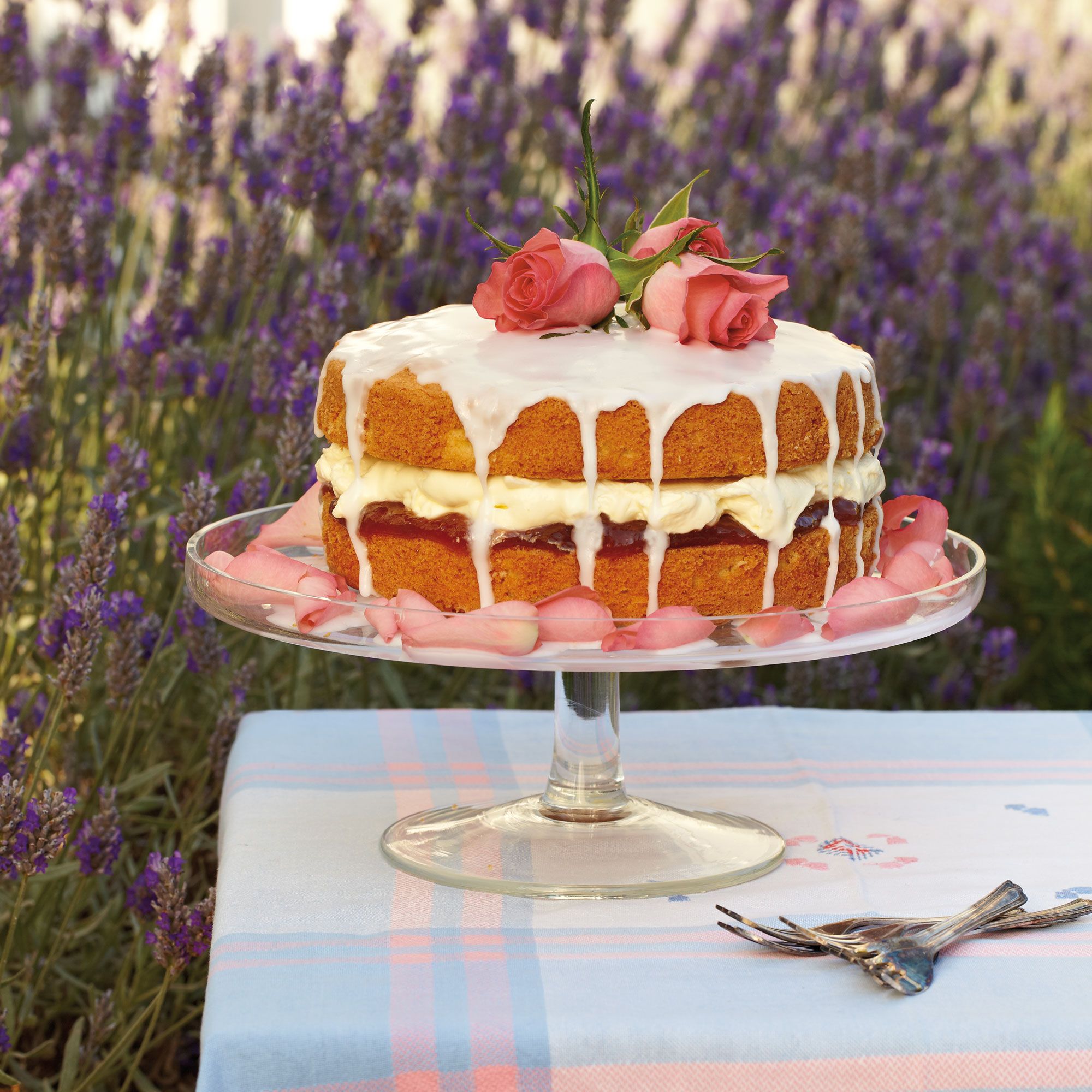 Celebration Cake Recipes | Woman & Home