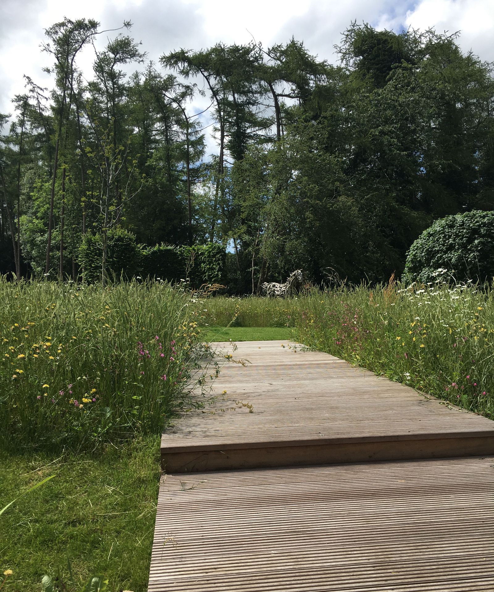 How to plant a wildflower meadow: in gardens of all sizes | Homes and ...