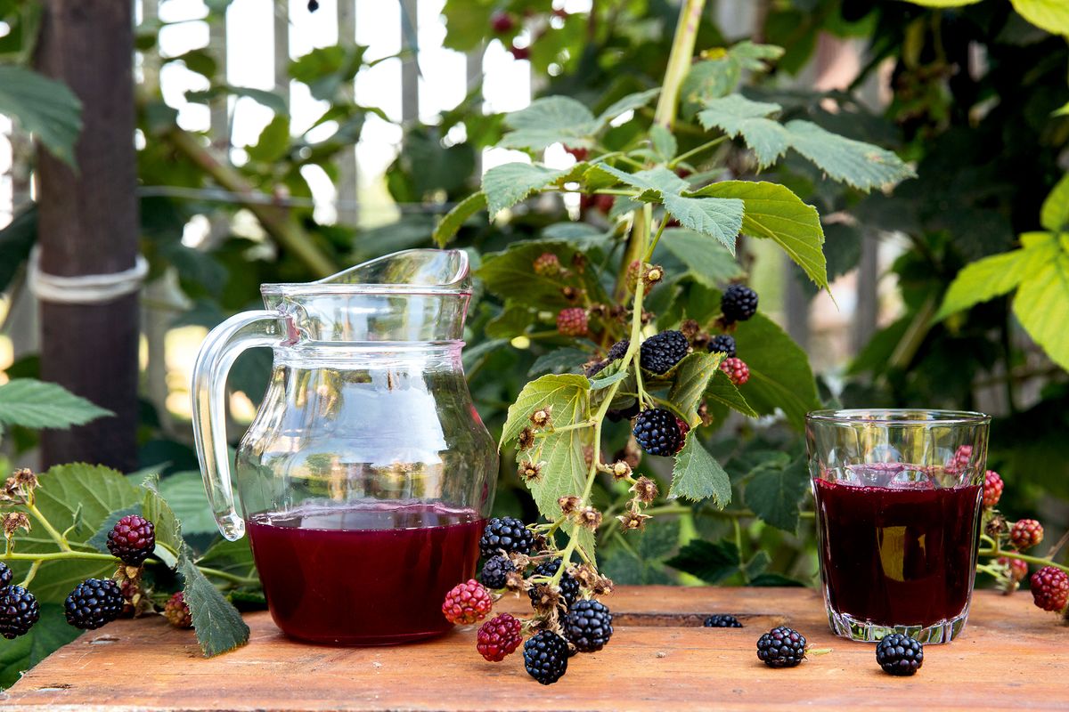 This Victorian boozy blackberry cordial is as good today as it was 150 ...