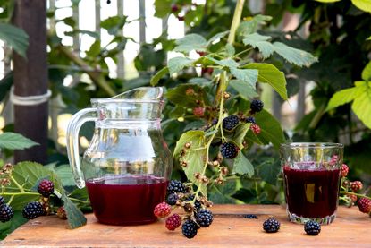 This Victorian boozy blackberry cordial is as good today as it was 150 ...