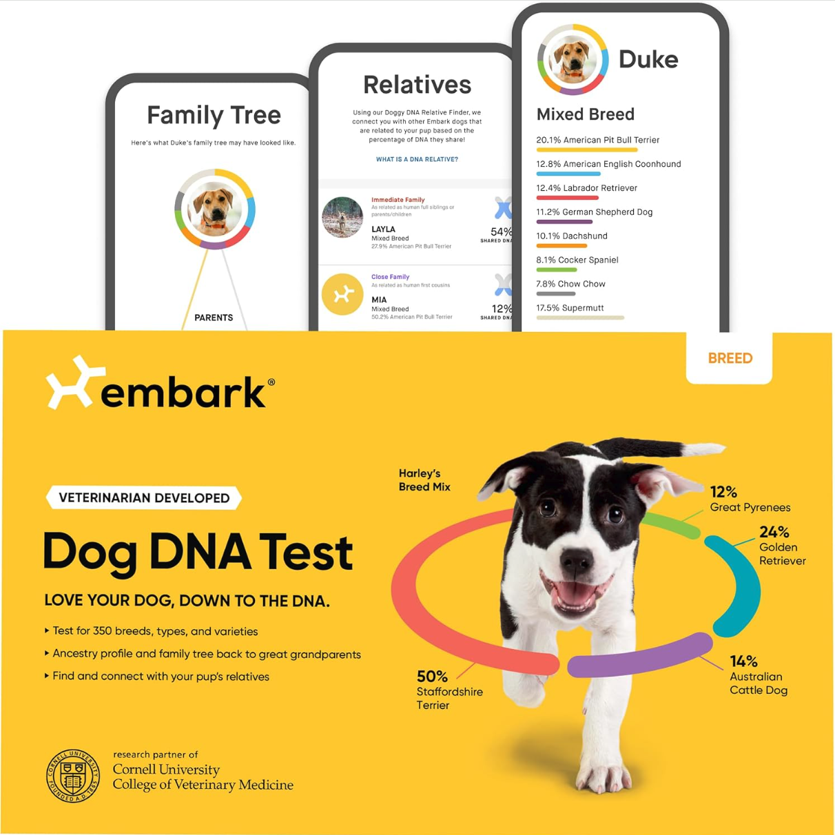 How Do I Identify My Dog S Breed Mix Breed - Infoupdate.org