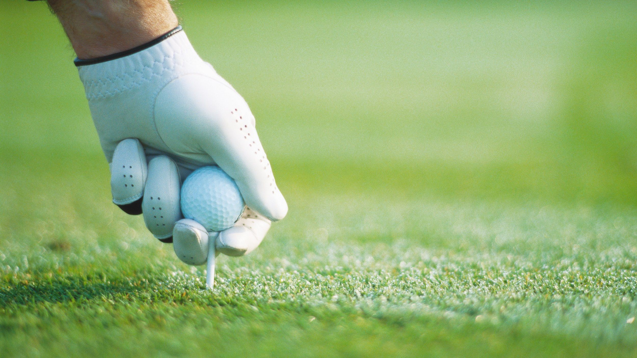 Golfer Accused Of Biting Nose Off Competitor After Post-Round Argument ...